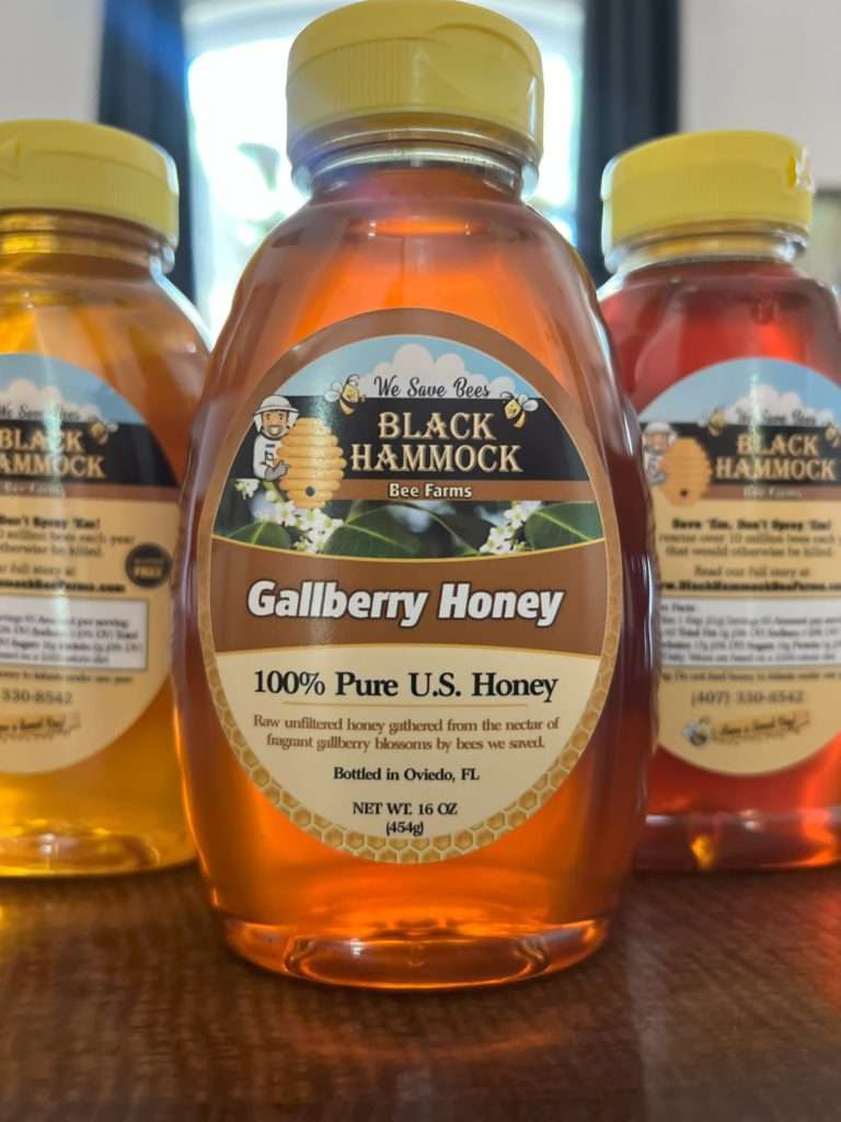 Black Hammock Gallberry Honey | Oviedo Olive Oil